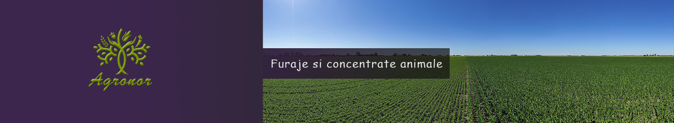 Furaje si concentrate animale @ Agronor