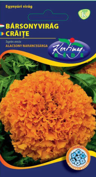 Seminte Craite pitice portocalii - Kertimag @ Agronor