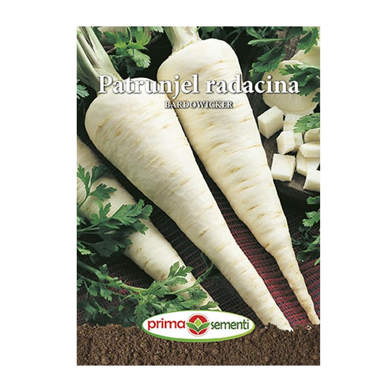 Patrunjel radacina Bardowicker 5g - Primasementi @ Agronor